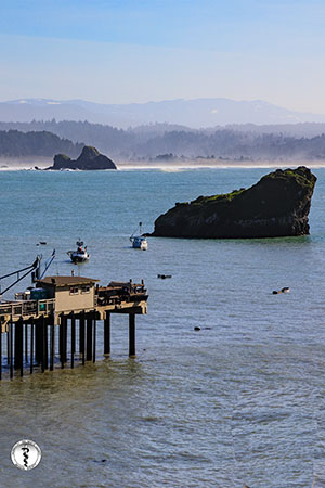 Home [www.hdncms.org]